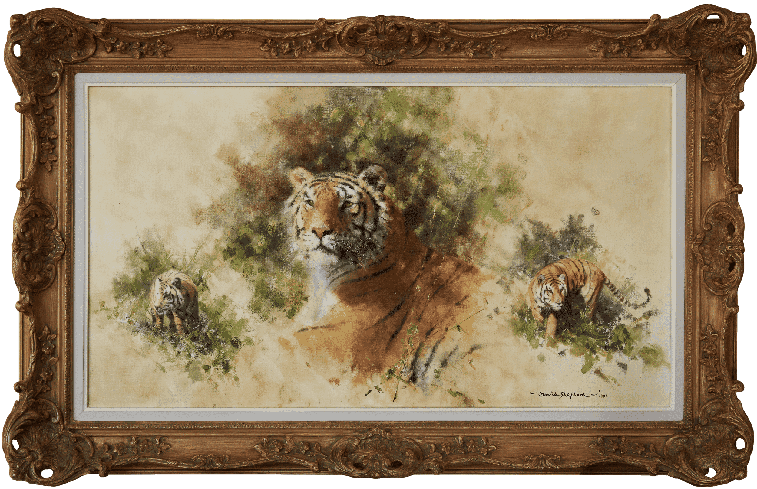 David Shepherd | Tigers in the Jungle