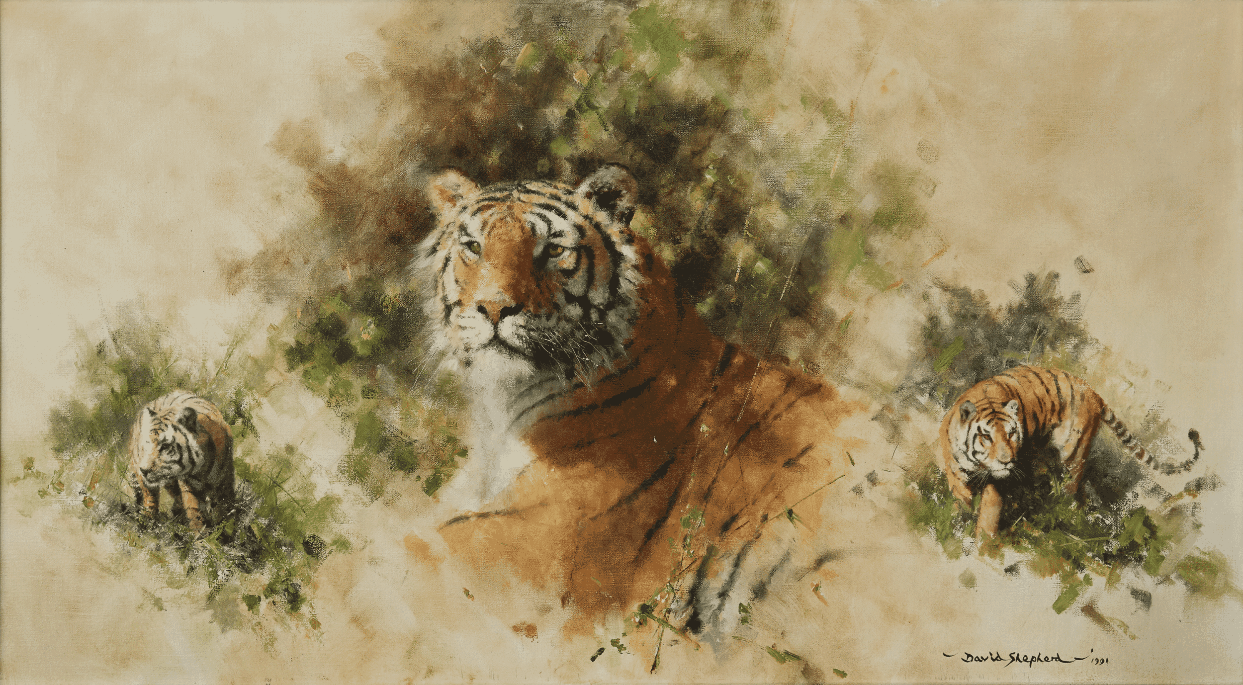 David Shepherd | Tigers in the Jungle